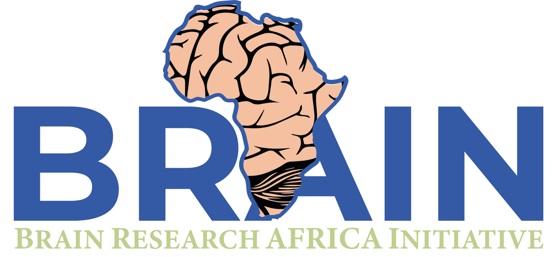 Brain Research Africa Initiative (BRAIN) – Brain Research Africa ...